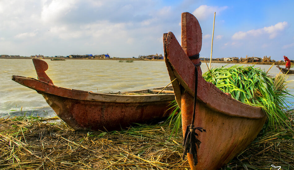 Iraqi Marshes - Fanack Water