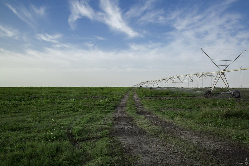 Water Use in Qatar - Fanack Water