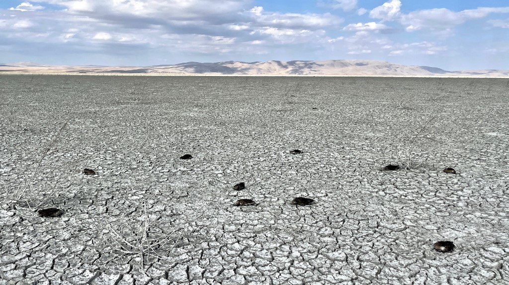 Water Challenges in Turkey - Fanack Water